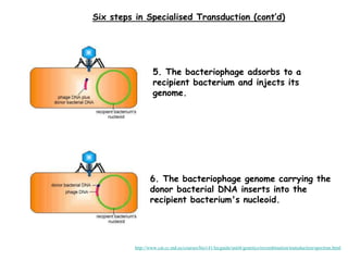 Transduction.pptx
