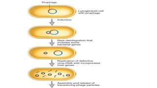 Transduction.pdf