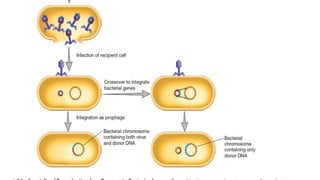 Transduction.pdf