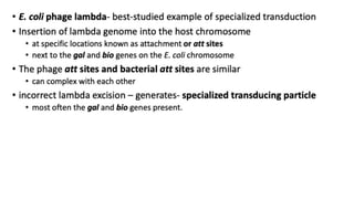 Transduction.pdf