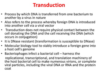 Transduction and transformation | PPTX