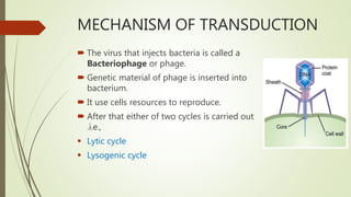 Transduction | PPTX