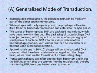 Transduction in bacteria | PDF