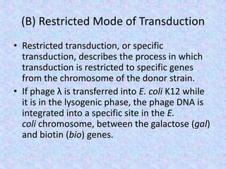 Transduction in bacteria | PDF