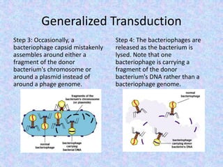 Generalized Transduction In Bacteria