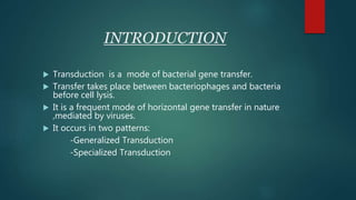 Transduction on bacteria | PPTX