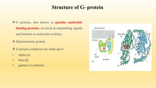 cell signaling and Transduction Pathways | PPTX