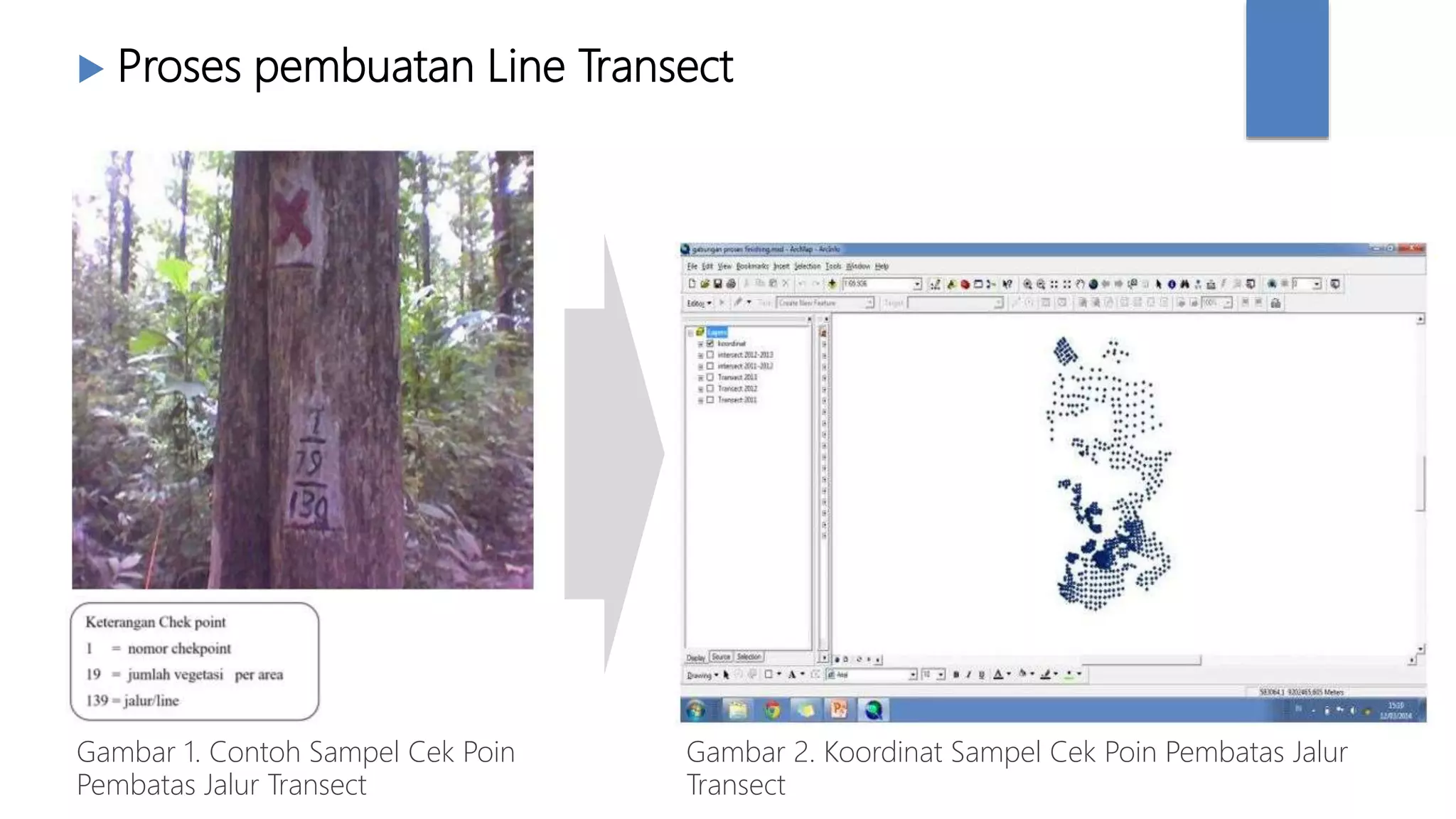 Transect Analysis | PPTX