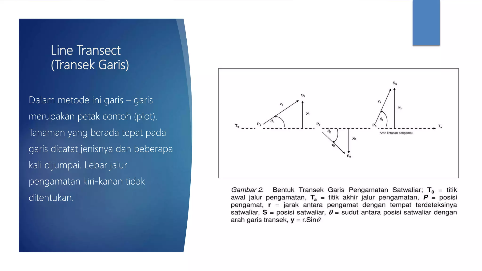 Transect Analysis | PPTX