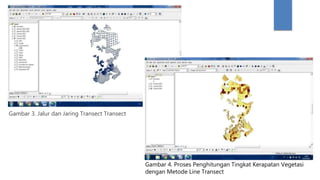 Transect Analysis | PPTX