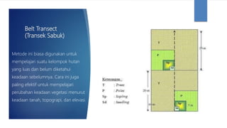 Transect Analysis | PPTX