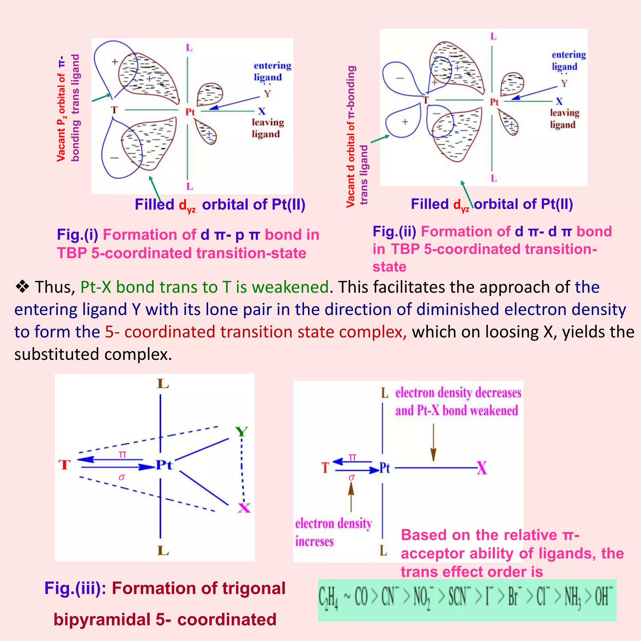 trans effect M.Sc notes.pptx