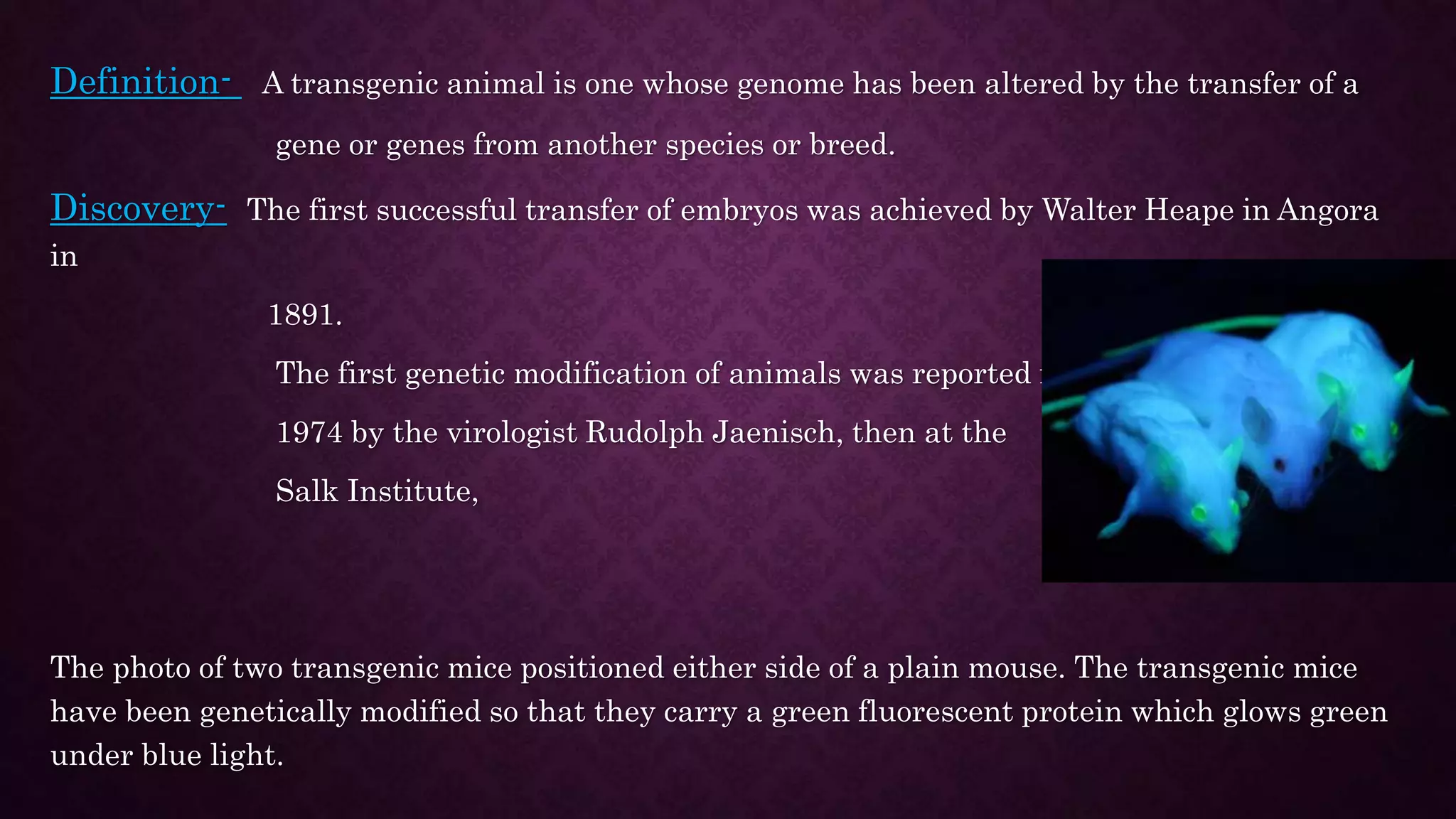 Transgenic animals and process to make transgenic animals | PPTX