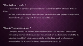 Transgenic animals and process to make transgenic animals | PPTX ...