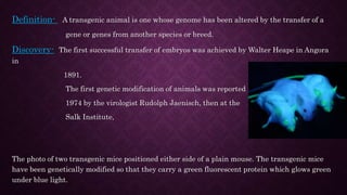Transgenic animals and process to make transgenic animals | PPTX ...