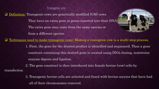 Transgenic animals and process to make transgenic animals | PPTX ...