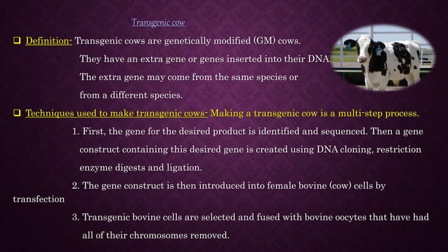 Transgenic animals and process to make transgenic animals | PPT