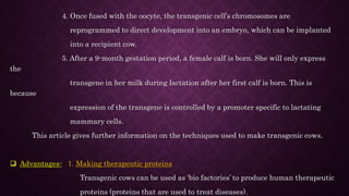 Transgenic animals and process to make transgenic animals | PPTX