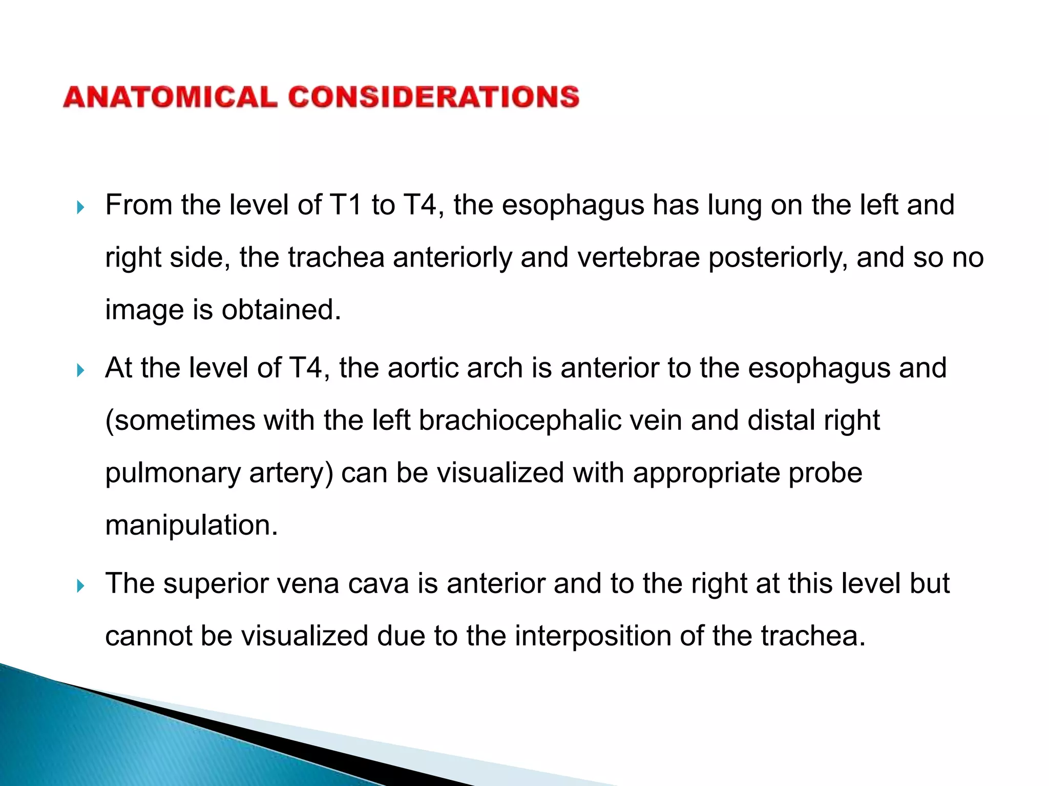 Transesophageal echocardiography(TEE) | PPTX