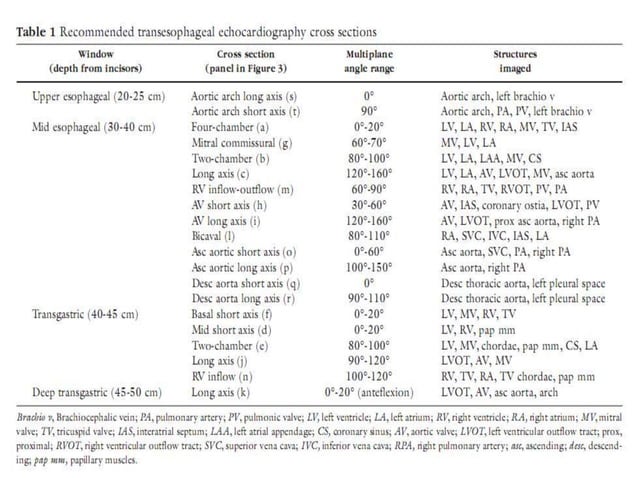 Transesophageal echocardiography(TEE) | PPTX