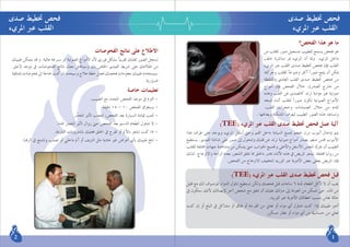 Transesophageal echocardiography (tee) | PDF | Heart and Cardiovascular ...