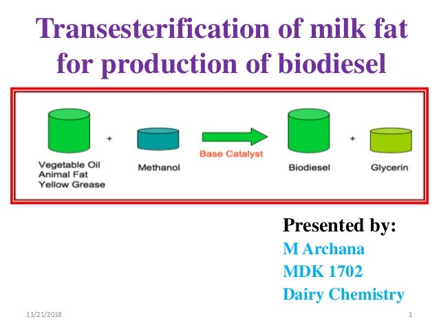 Transesterification Process For Biodiesel Production - Enzymatic ...