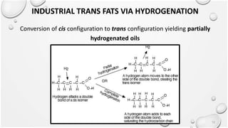 Trans Fat Update | PPTX