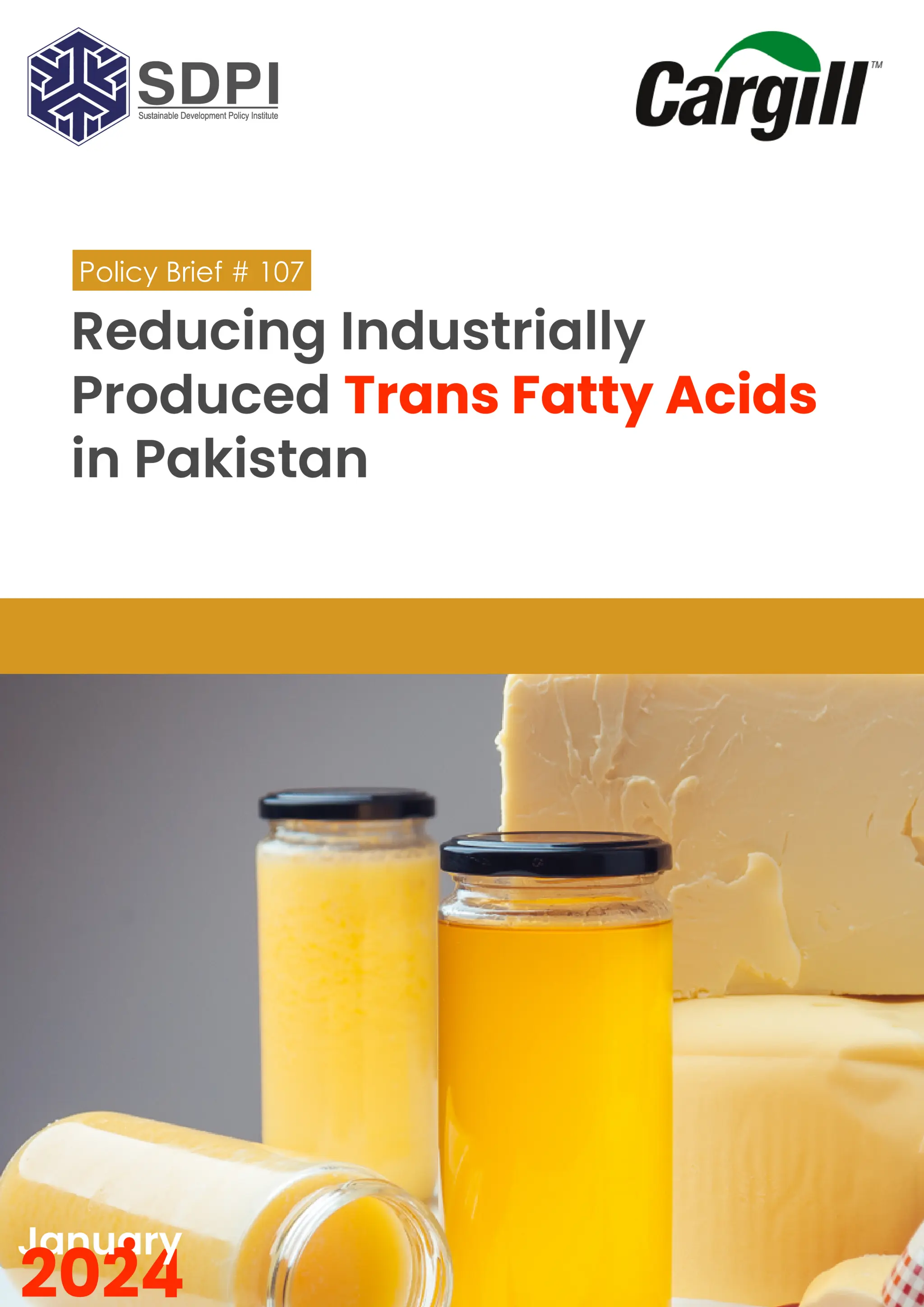 Reducing Industrially Produced Trans Fatty Acids in Pakistan | PDF