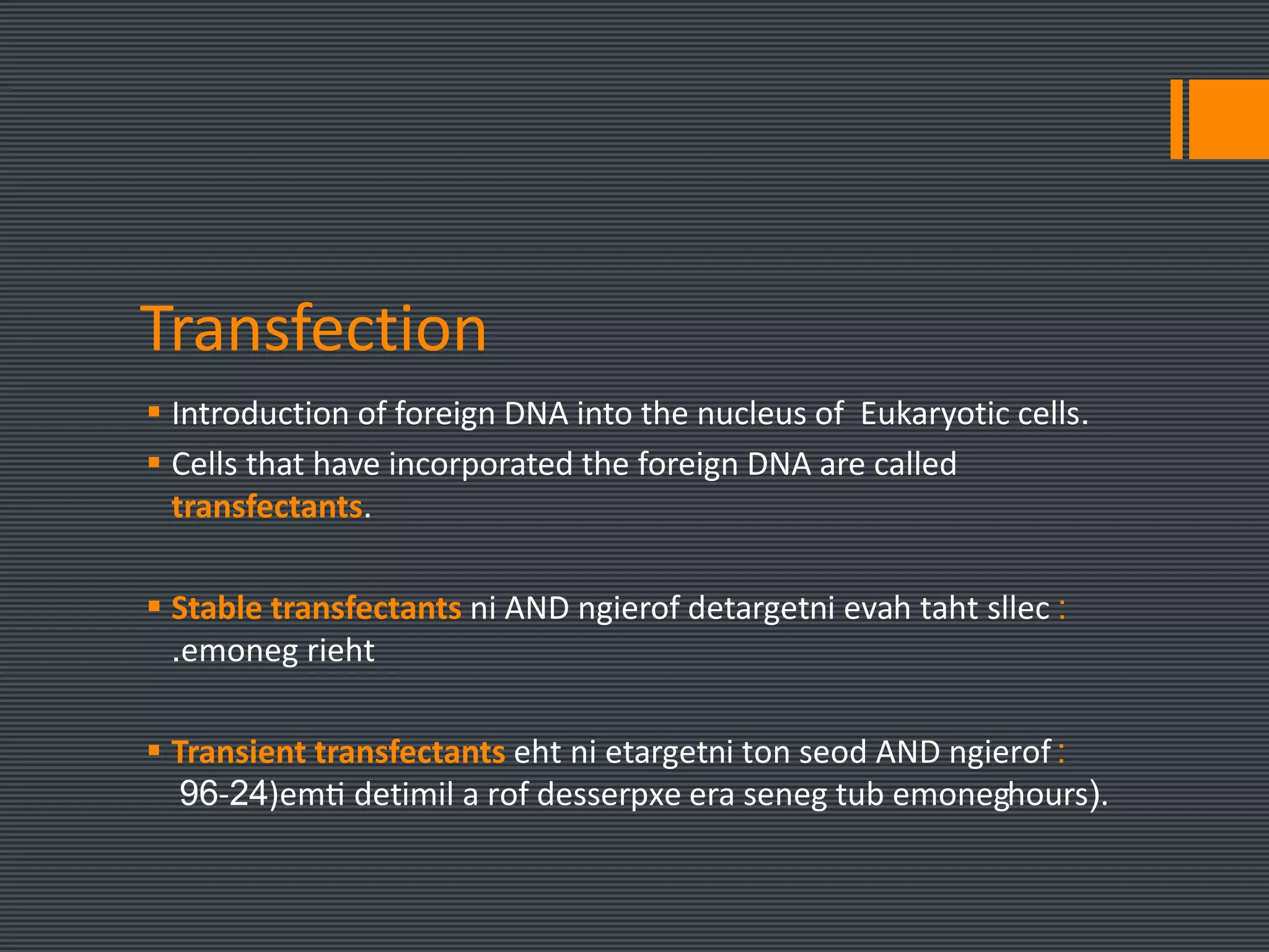 Transfection | PPTX