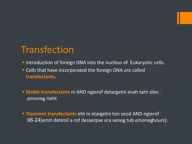 Transfection | PPTX
