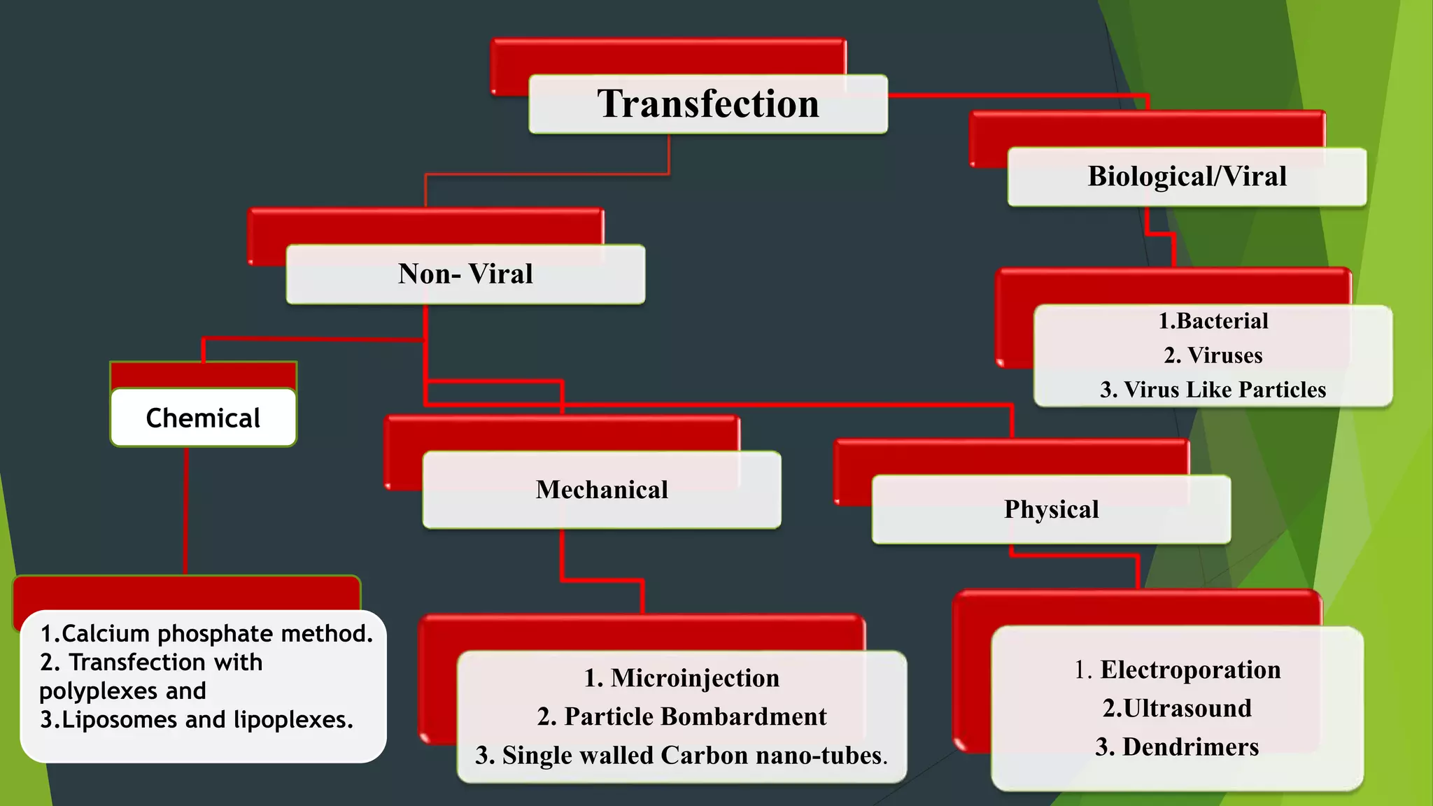 Transfection | PPTX