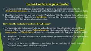 Transfection | PPTX