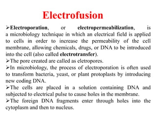 Transfection | PPT