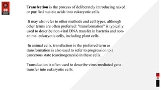 Transfection in Gene Transfer Techniques | PPT