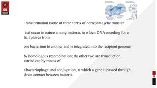 Transfection in Gene Transfer Techniques | PPT