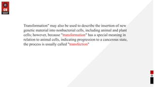 Transfection in Gene Transfer Techniques | PPT