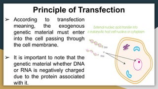 Animal Biotechnology - Transfection and types.pdf