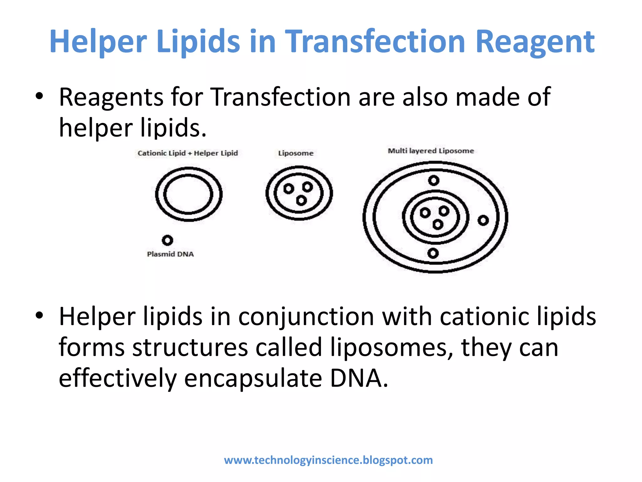 Transfection – basics & optimization tips | PPTX