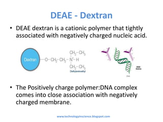 Transfection – basics & optimization tips | PPTX