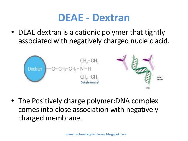 Transfection – basics & optimization tips