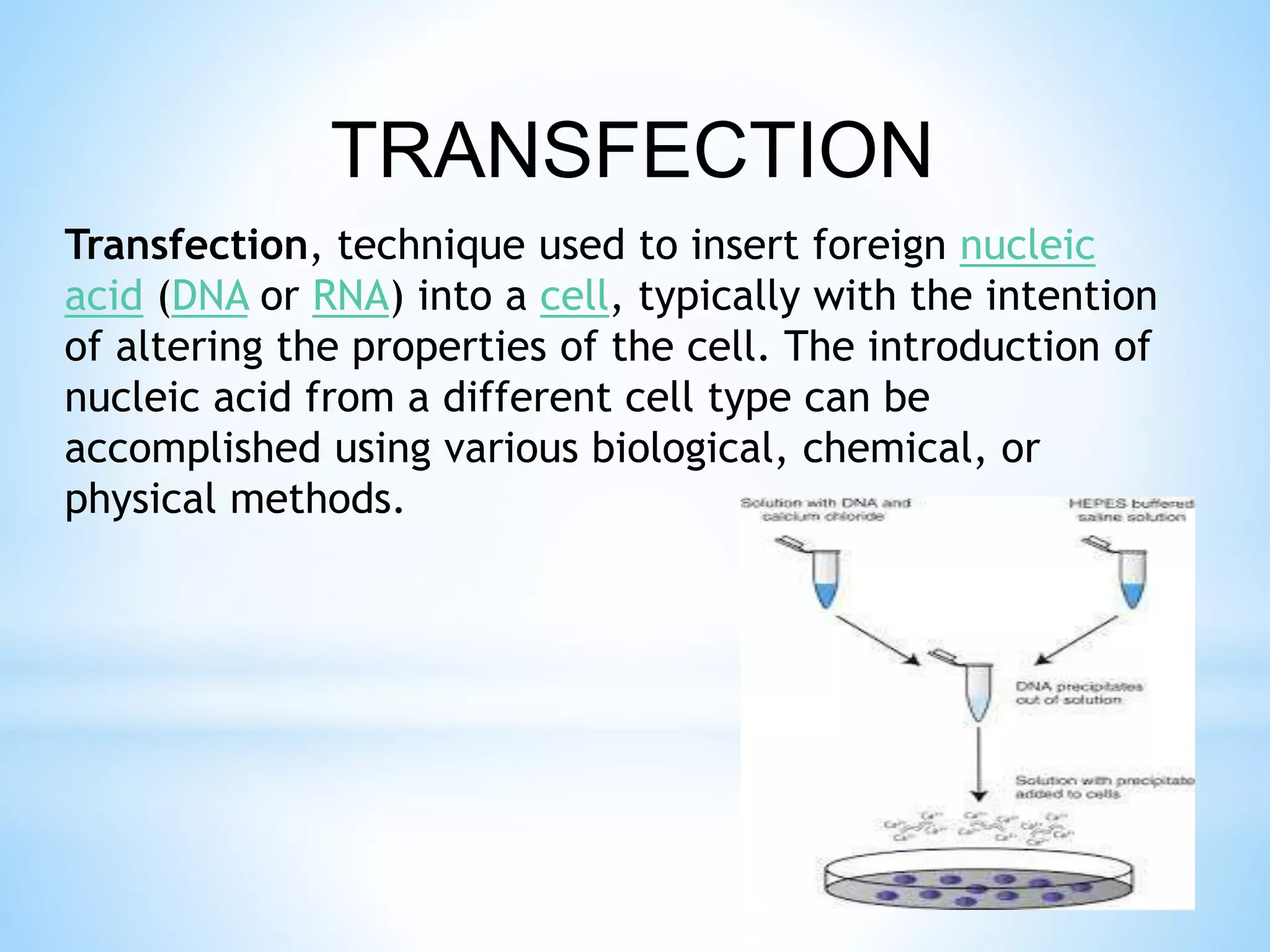 Transfection in animals & plants | PPTX