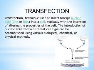 Transfection in animals & plants | PPTX | Reproductive Health ...