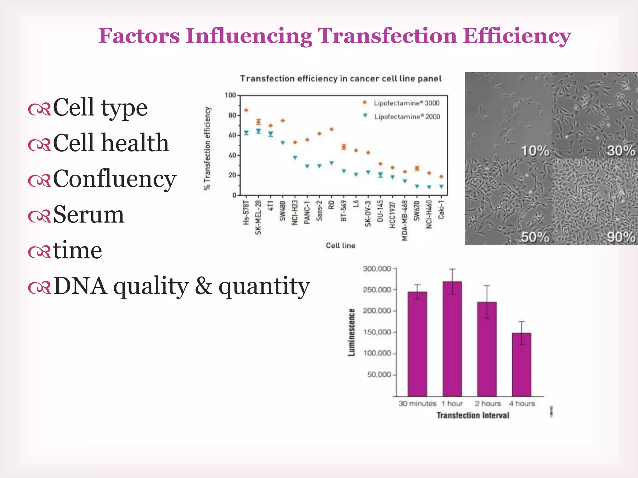Transfection method | PPTX