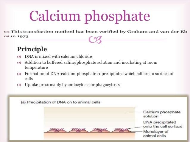 Transfection method