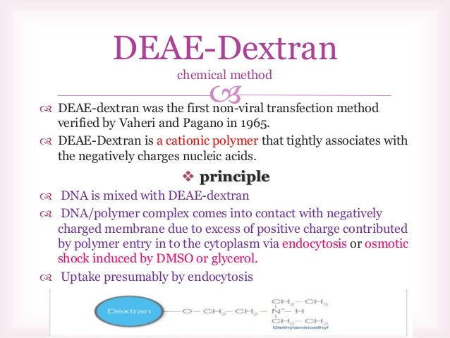 Transfection method