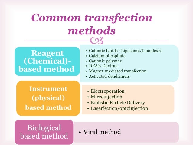 Transfection method
