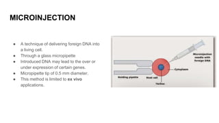 Transfection of animal cells | PPTX