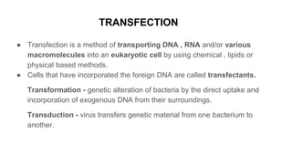 Transfection of animal cells | PPTX