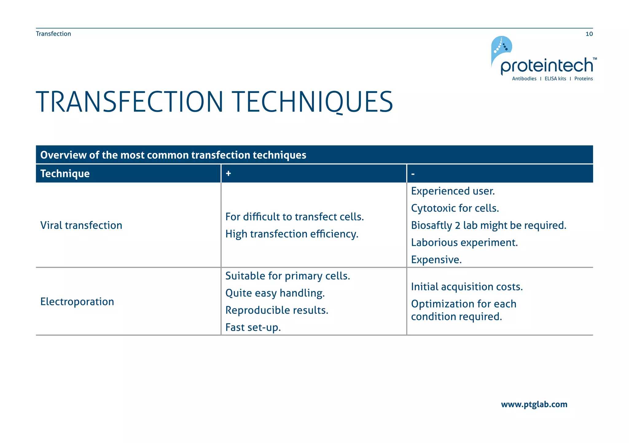 Transfection Techniques - Overview and Technical Tips | PDF