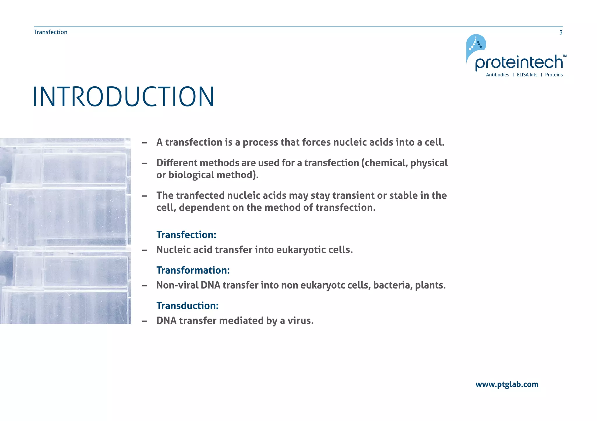 Transfection Techniques - Overview and Technical Tips | PDF